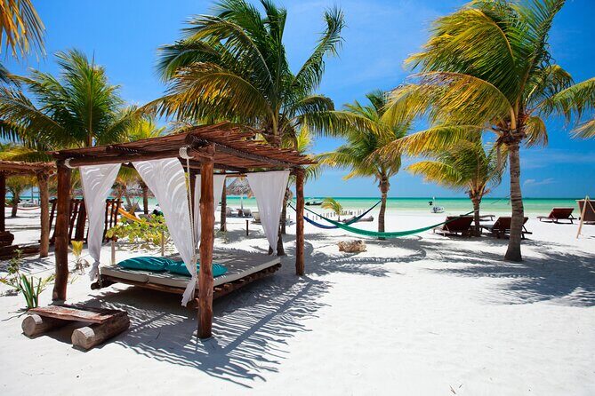Exclusive Full Day Nature Expedition to Holbox Island - Why Consider the Holbox Island Full-Day Tour?