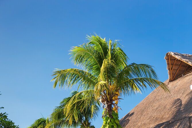 Exclusive Full Day Nature Expedition to Holbox Island - Frequently Asked Questions