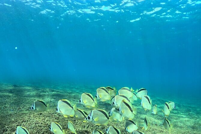 Exclusive Fullday Tour of San Agustín & 9 Bays of Huatulco (8 hr) - Practical Tips for Your Day on the Water