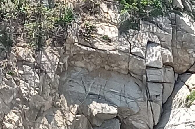 Exclusive Fullday Tour of San Agustín & 9 Bays of Huatulco (8 hr) - FAQ