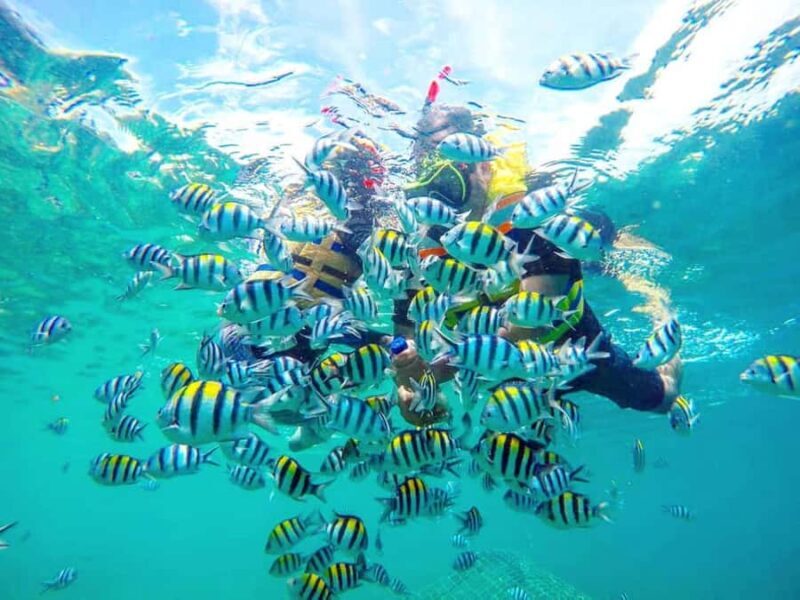 Exclusive Gili Nanggu, Sudak, and Kedis Tour Featuring GoPro - What to Expect on the Tour