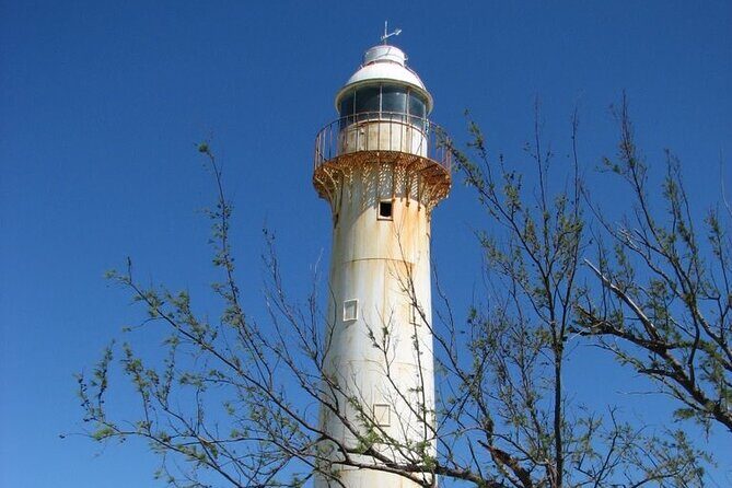 Exclusive Grand Turk Island Tour - Authentic Encounters with Wildlife and Local Life