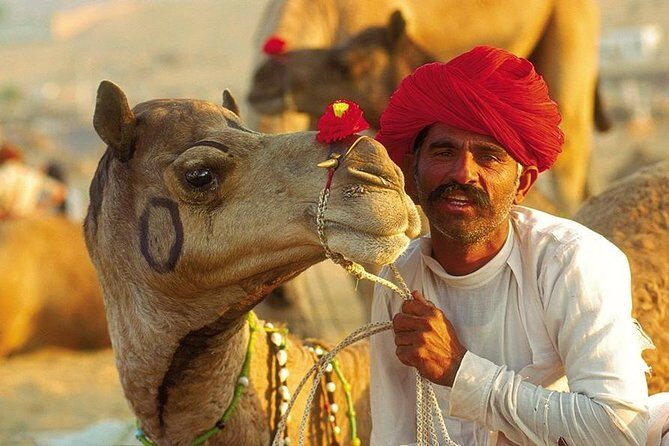 Exclusive: Guided Pushkar Day Trip from Jaipur - An In-Depth Look at the Trip