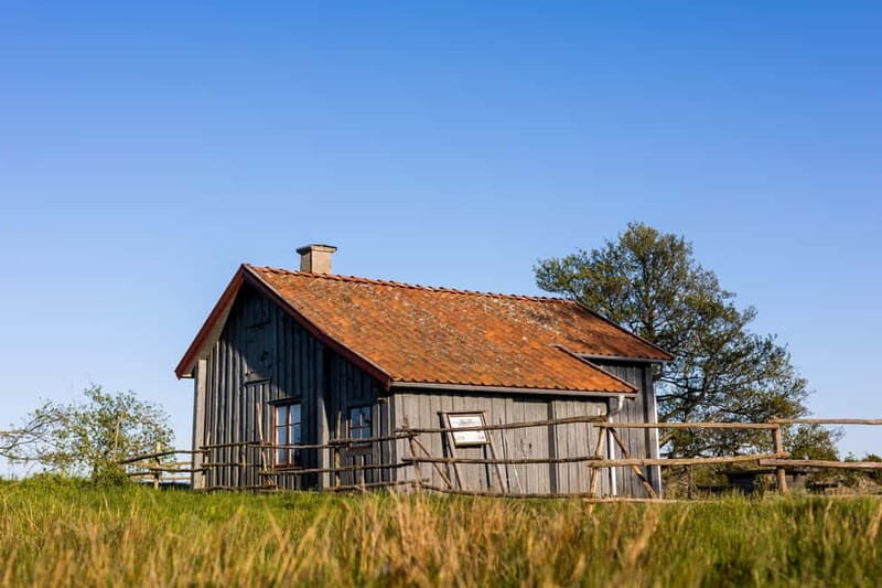 Exclusive Guided Tour in the Breathtaking Lurö Archipelago - Who Will Love This Tour?