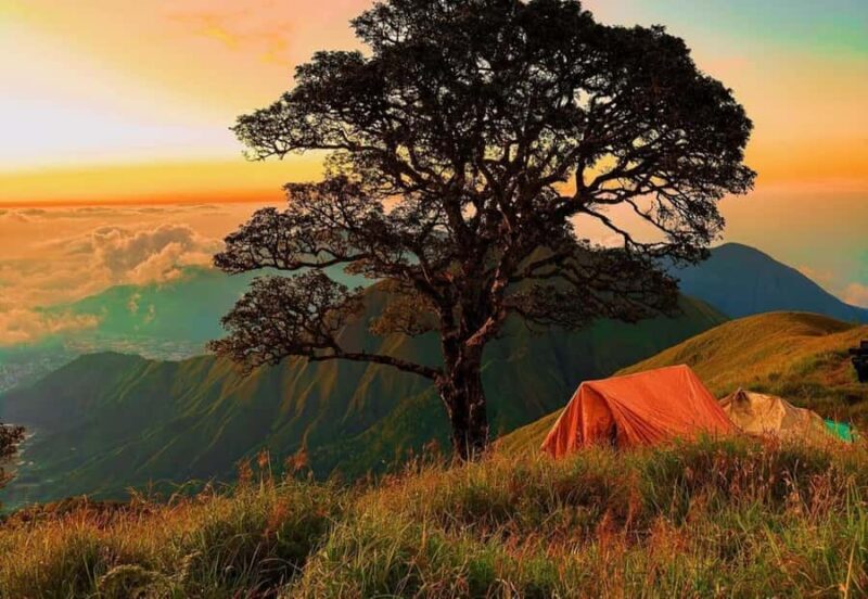 Exclusive Hiking to Nanggi Hill: Camping Under the Stars - The Experience in Detail