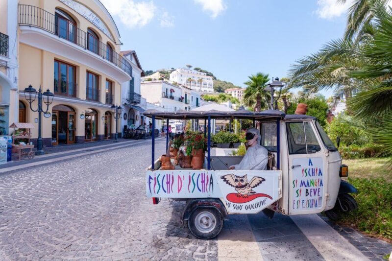 Exclusive Ischia Tour from Sorrento with Local Guide - A Closer Look at the Ischia Experience