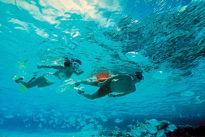 Exclusive Isla Mujeres Tour in Catamaran! Sailing from Cancun - What the Tour Includes and What to Consider