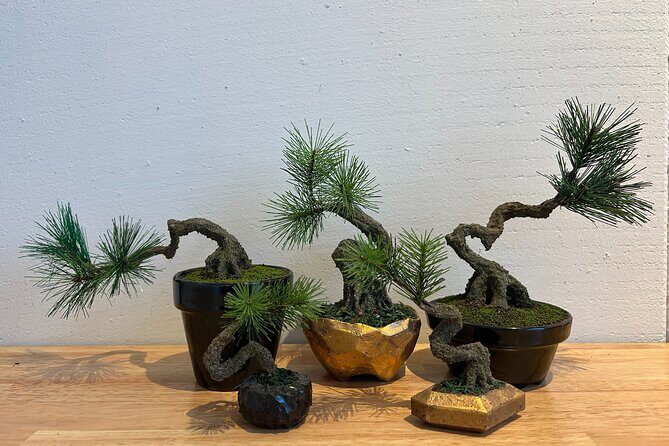 Exclusive Kanazawa Craft Bonsai Experience with Black Tile Pot - Practical Tips