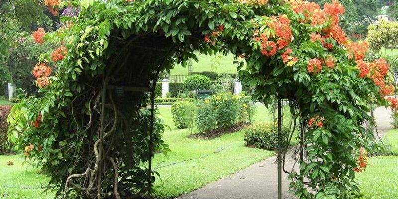 Exclusive : Kandy City Tour by car - Authentic, Balanced, and Worth Your Time