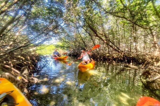 Exclusive Kayak Expedition: Exploring the Mangroves to Shell Key - Discovering Florida’s Waterways: An Authentic Kayak Journey