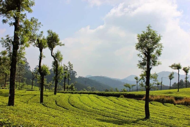 Exclusive Kerala Beauty, Munnar Hill Station Overnight Tour - Who Should Consider This Tour?