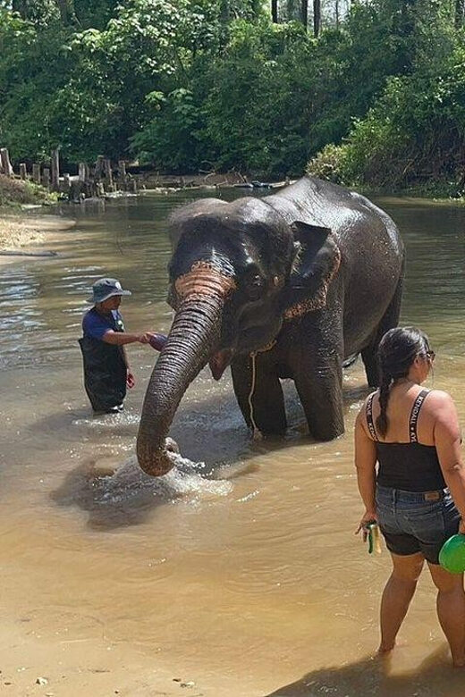 Exclusive Khao Lak Highlights - Private Tour - FAQ