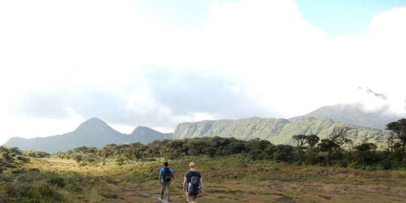Exclusive knuckles Camping Tour from kandy - Key Points
