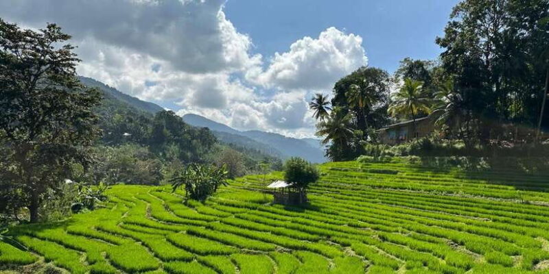Exclusive knuckles Camping Tour from kandy - Practical Considerations and Value