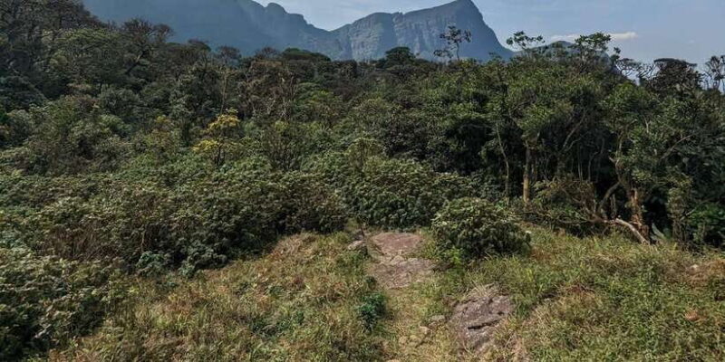 Exclusive knuckles Camping Tour from kandy - Authentic Reviews and Experiences