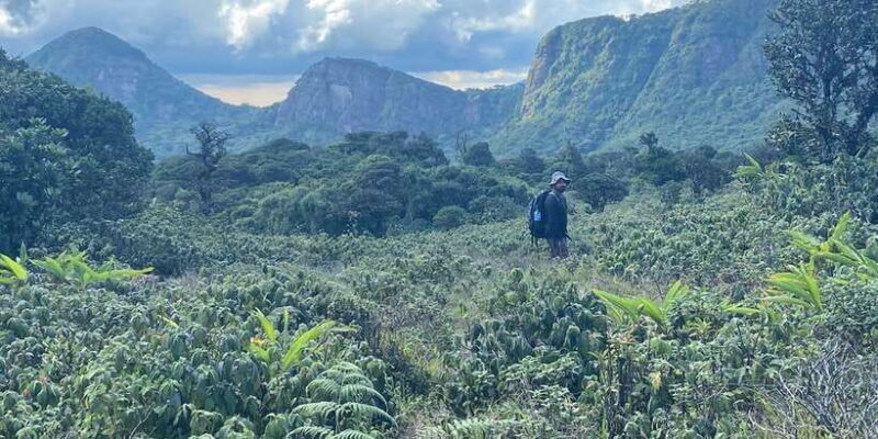 Exclusive knuckles Camping Tour from kandy - FAQ
