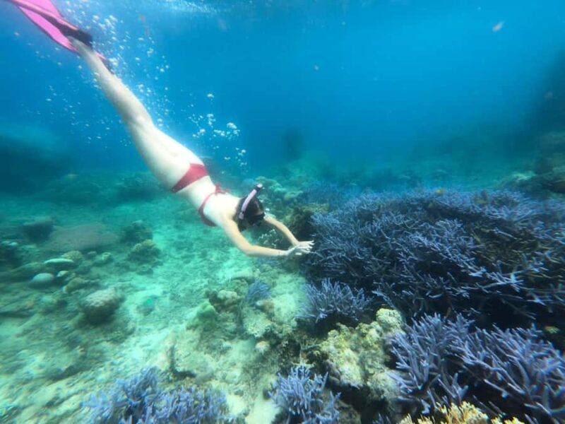 Exclusive Lombok Fishing & Snorkeling Tour Across 4 Gilis - Final Thoughts
