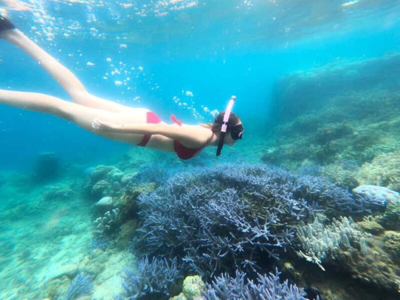 Exclusive Lombok Fishing & Snorkeling Tour Across 4 Gilis - FAQ