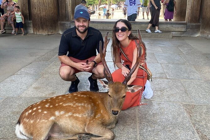 Exclusive Luxury Day Tours Serene Nara - An In-Depth Look at the Nara Experience