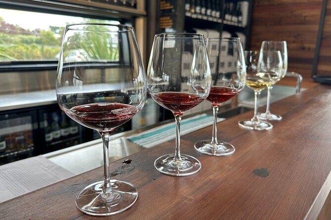 Exclusive Martinborough Wine Tour - Introduction: Is the Exclusive Martinborough Wine Tour Worth It?