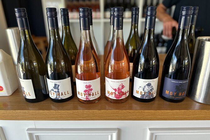Exclusive Martinborough Wine Tour - Key Points