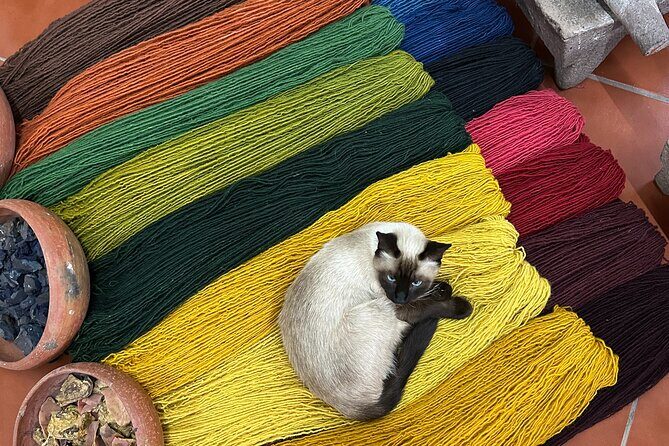 Exclusive: Monte Albán, Hierve el agua, Teotitlán & Mezcal Tour - FAQ