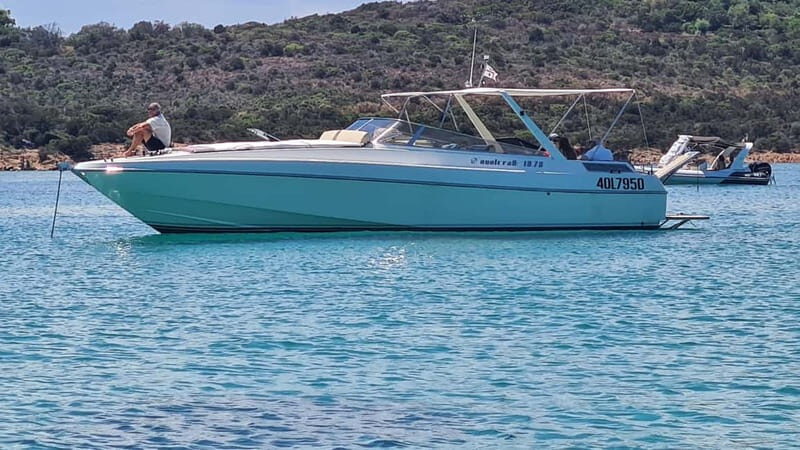 Exclusive motor boat dolphins watch - What’s Included and What to Keep in Mind