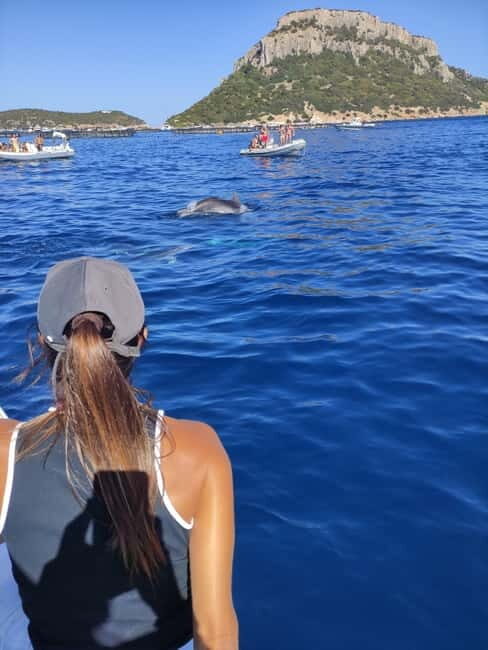 Exclusive motor boat dolphins watch - Final Verdict