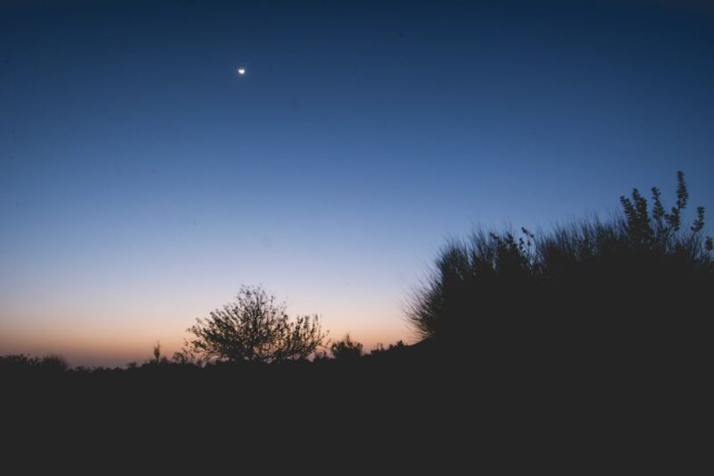 Exclusive Musical Evening at Desert Luxury Camp (NO CAMEL) - Discover the Magic of Rajasthans Desert Night: A Review of the Exclusive Musical Evening at Desert Luxury Camp (NO CAMEL)