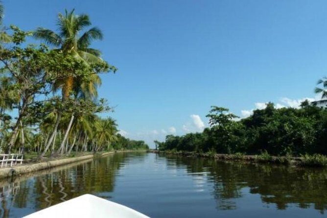 Exclusive : Muthurajawela Bird Watching Tour - Key Points