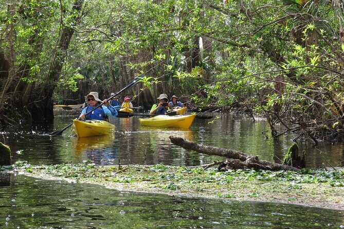 Exclusive Nature Escape Kayak Adventure on Blackwater Creek - The Small Group Advantage