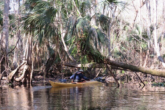 Exclusive Nature Escape Kayak Adventure on Blackwater Creek - Practical Details and Considerations