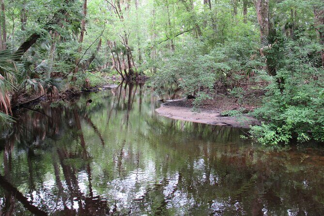 Exclusive Nature Escape Kayak Adventure on Blackwater Creek - Booking and Cancellation