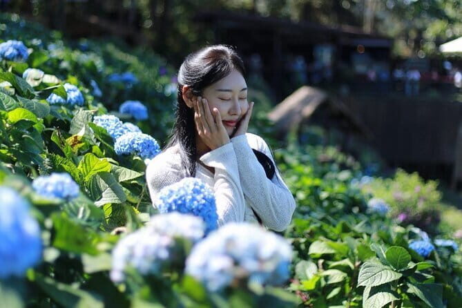 Exclusive Northern Thailand Tours - Who Should Consider This Tour?