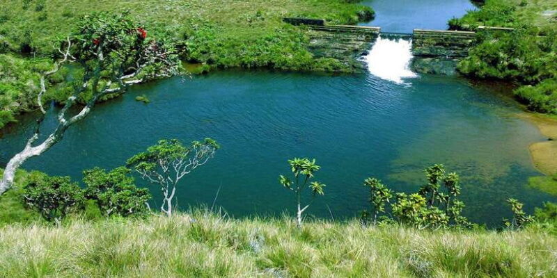 Exclusive Nuawara Eliya: Horton Plains and Tea Factory Tour - An Authentic Journey into Sri Lanka’s Central Highlands