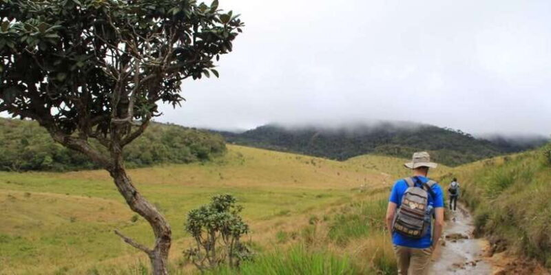 Exclusive Nuawara Eliya: Horton Plains and Tea Factory Tour - Practical Details and What It Means for Your Trip