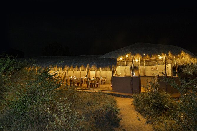Exclusive : Overnight Leopard Safari with Luxury Glamping - Key Points