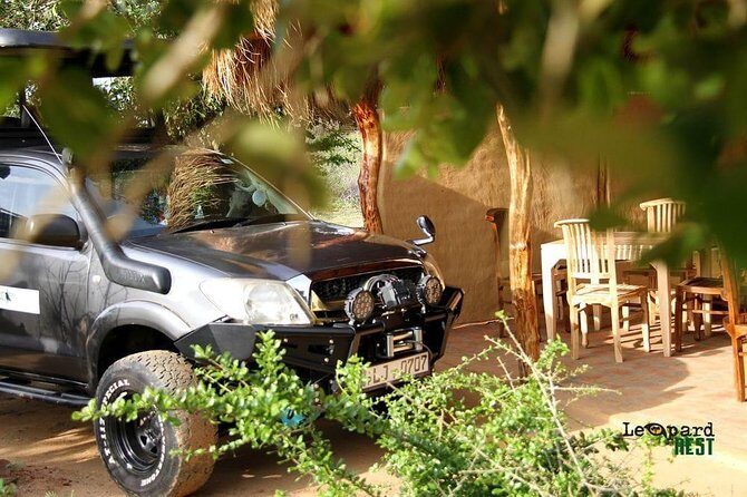 Exclusive : Overnight Leopard Safari with Luxury Glamping - Authentic Reviews: What Past Travelers Say