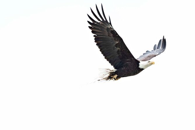 Exclusive Photography Tour Haines Departure - Authentic Experiences and Insights from Reviews