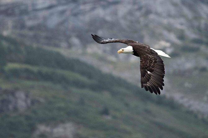 Exclusive Photography Tour to Haines - Skagway Departure - FAQ: Your Practical Questions Answered