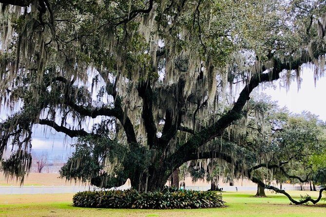 Exclusive Private Access Evergreen Plantation & City Tour - Transportation and Practical Details