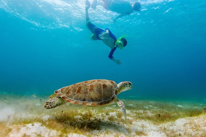 Exclusive Private Boat to El Cielo - Authentic Experiences and Highlights from Travelers