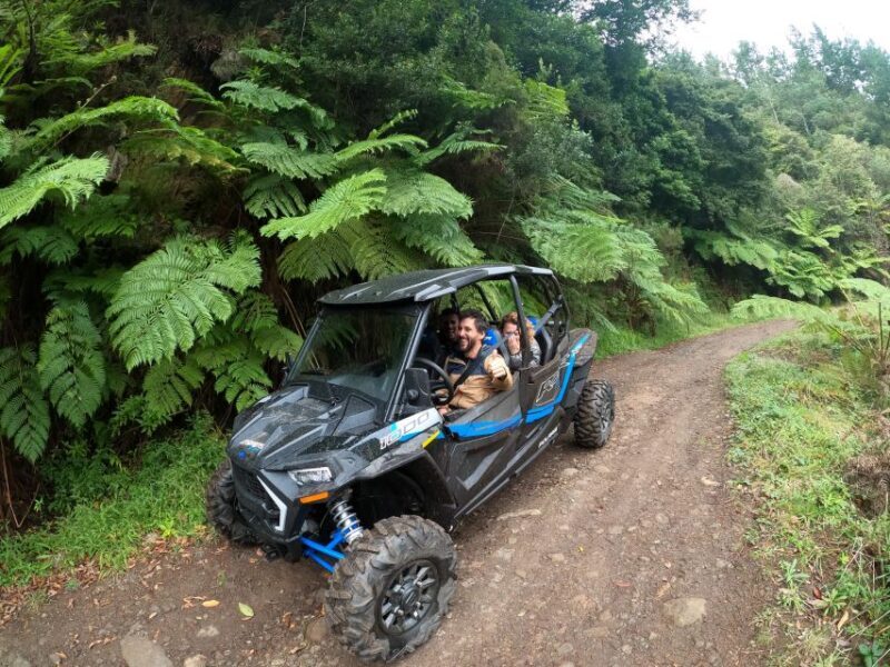 Exclusive Private Buggy Adventure: Forest and Mountains - Experience the Spirit of Madeira with a Private Buggy Adventure