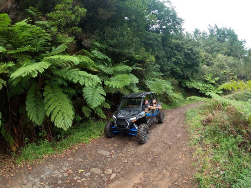 Exclusive Private Buggy Adventure: Forest and Mountains - Who Is This Tour Best For?