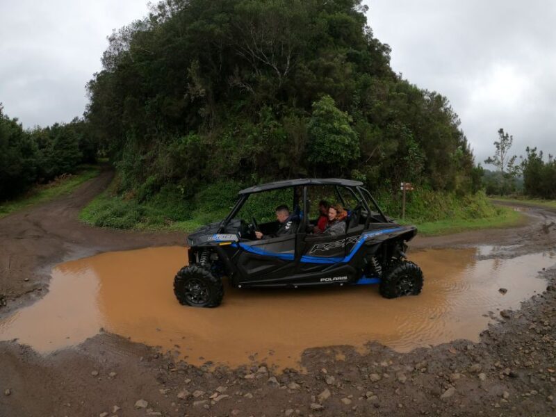 Exclusive Private Buggy Adventure: Forest and Mountains - Frequently Asked Questions