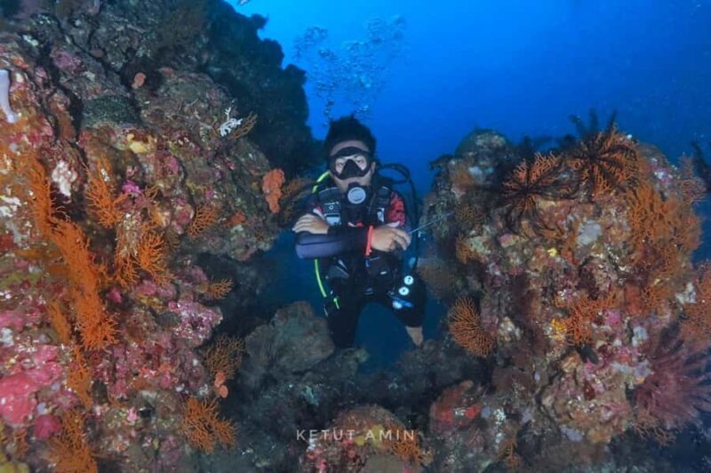 Exclusive private dive guide and underwater photography - Key Points