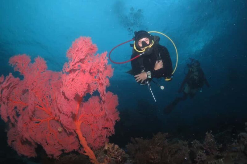 Exclusive private dive guide and underwater photography - Why Choose a Private Dive Guide in Bali?