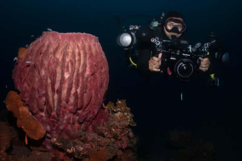 Exclusive private dive guide and underwater photography - Who Will Enjoy This Tour?