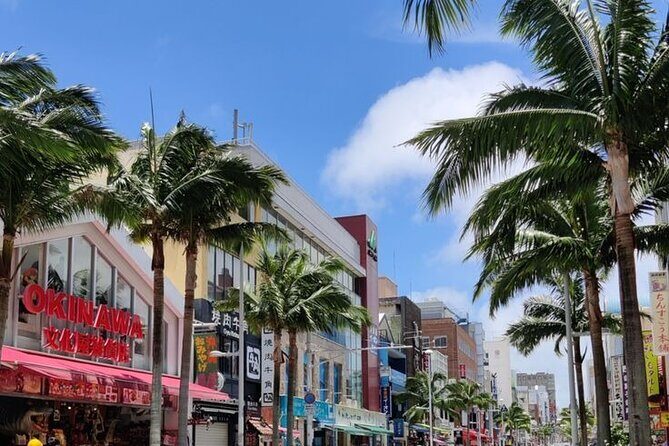 Exclusive Private Full Day Okinawa Island Tour with a Local Guide - Key Points