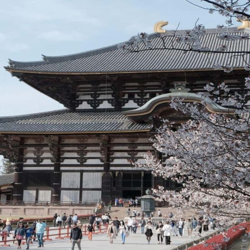 Exclusive Private Guided Tour of Osaka & Nara, Customize - Key Points